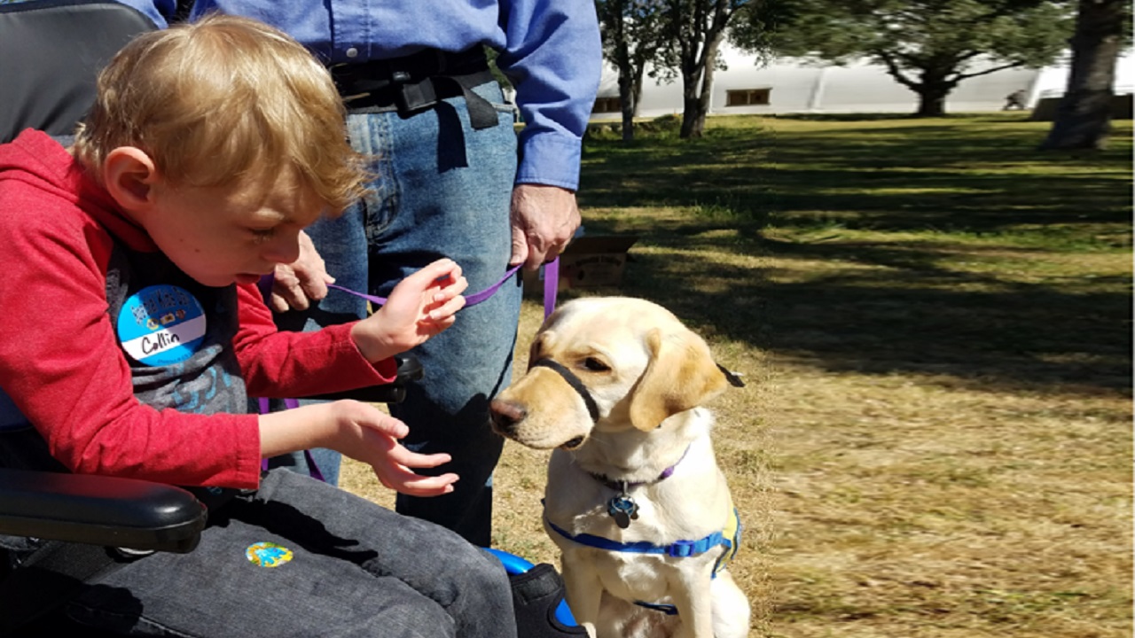 Rethinking Inclusivity: Transforming Vacation Experiences for Families with Special Needs | ThinkNow